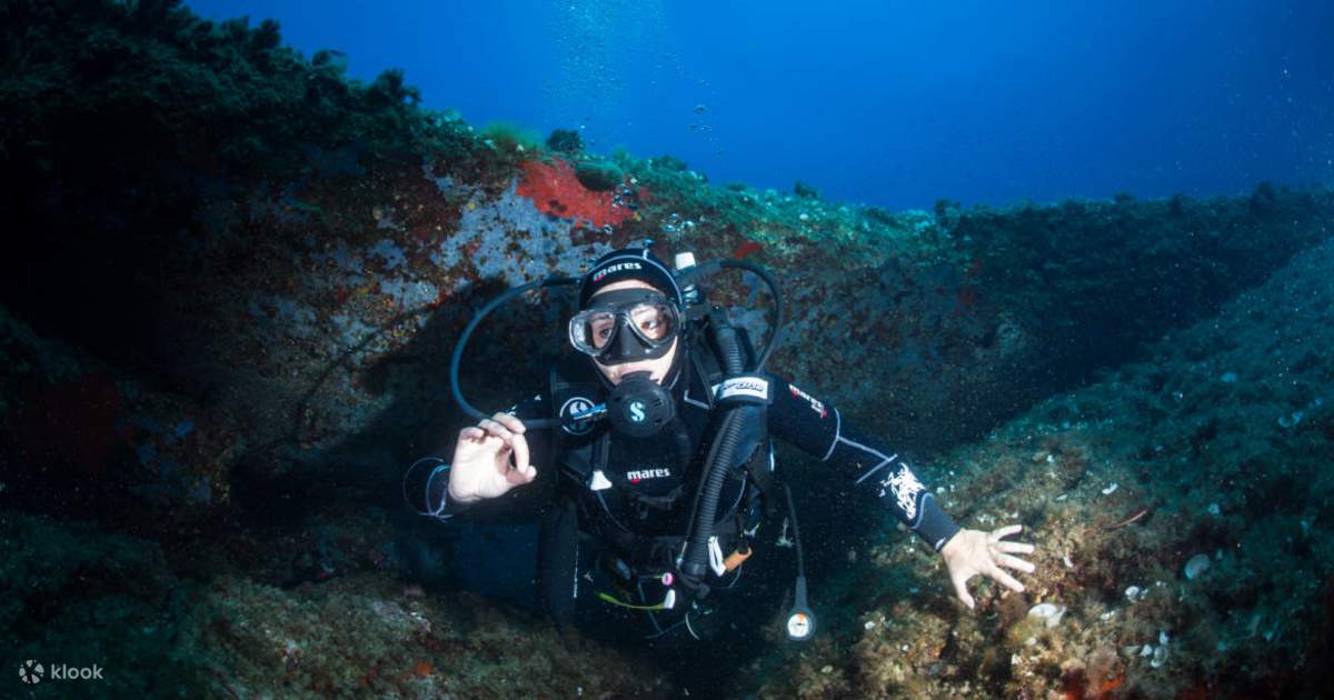 撒丁岛 Padi 高级开放水域潜水员与 Padi 度假村 Klook客路